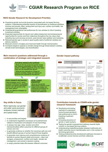 Gender equality and social inclusion in WHEAT | PDF