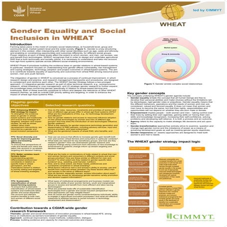 Gender equality and social inclusion in WHEAT | PDF