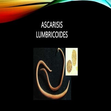 ASCARIASIS.pptx