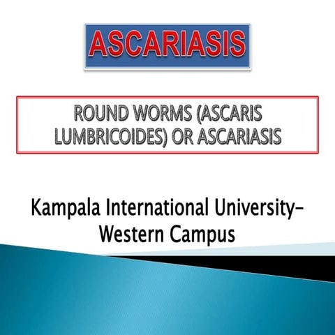 Round worms (Ascaris lumbricoides) introduction | PPTX