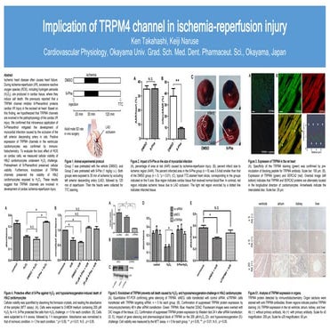 Implication of TRPM4 channel in ischemia-reperfusion injury | PPT
