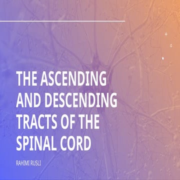 Ascending and Descending Tracts of the Spinal Cord | PPTX