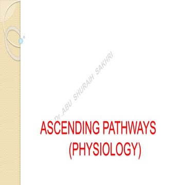 Ascending pathways | PPTX