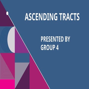 ascending tracts of physiology and anatomy | PPTX