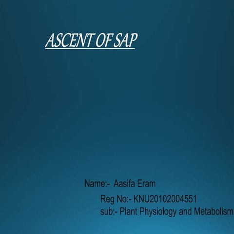 ASCENT OF SAP-342497462.pptx