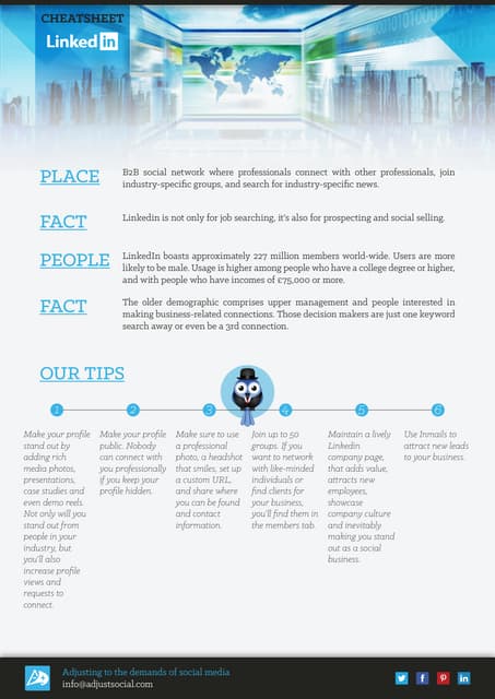 LinkedIn 101 for Business | PDF