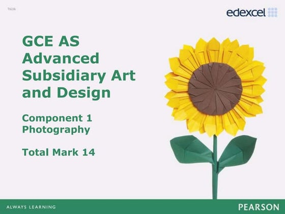 Unit 12 audio script | PDF