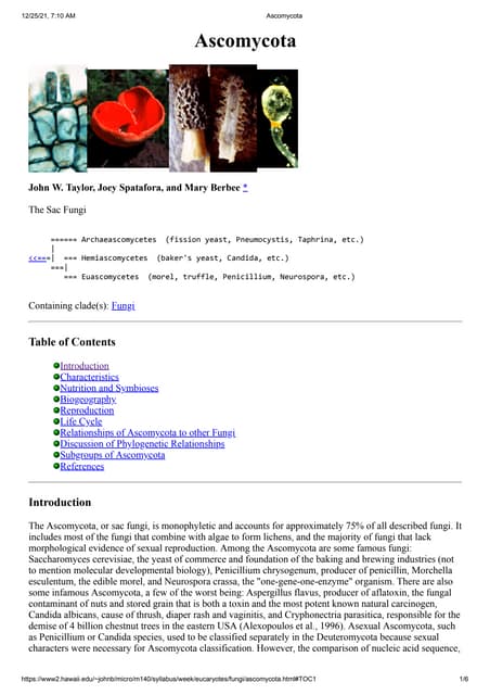 Ascomycota salient features | PPTX