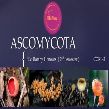 Parasexuality in fungi | PPT