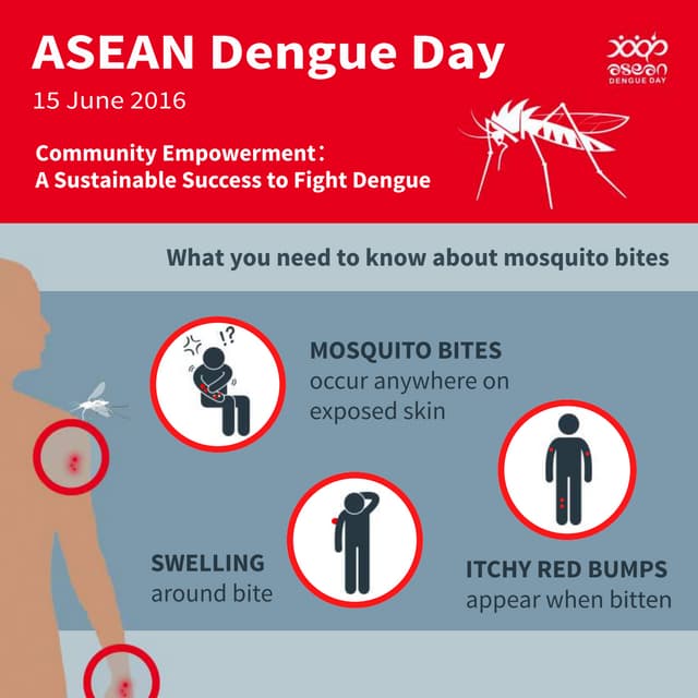 Asean dengue day | PDF
