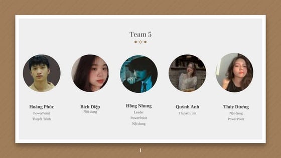 Phmthin11 presentations