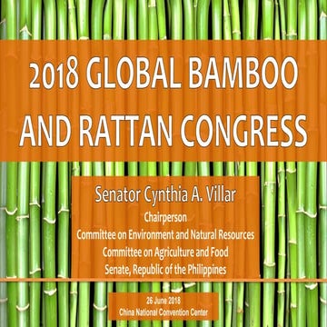 ASEAN_Senator Cynthia A. Villar_Bamboo and Rattan Developments in ...