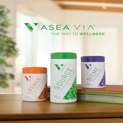 Asea Via Brochure | PDF