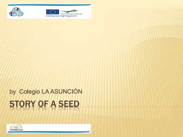 Seed Storyboard | PDF