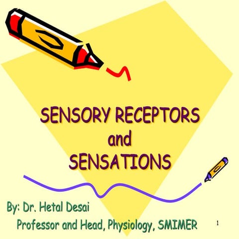 SENSORY RECEPTORS. Physiology , 1st year mbbs/bhms/etc | PDF
