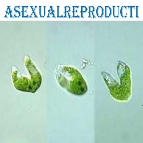 2. Grade-7-Q2-Module-3-Asexual-Reproduction-2nd-Ed.pdf