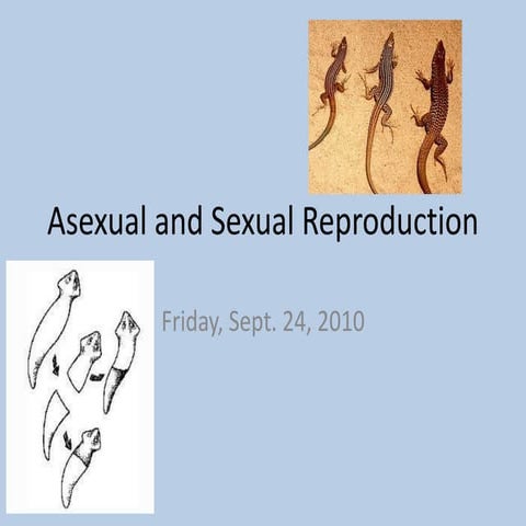 SEXUAL AND ASEXUAL REPRODUCTION ...