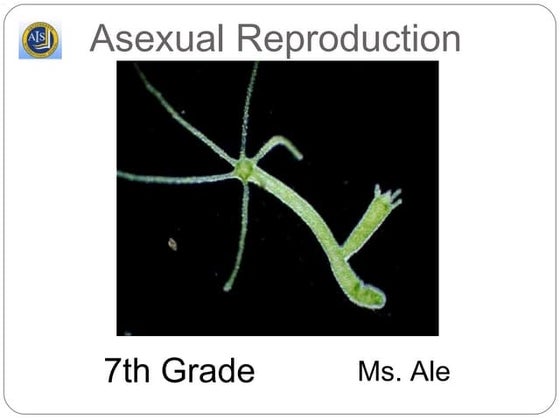 Asexual vs Sexual Reproduction | PPTX
