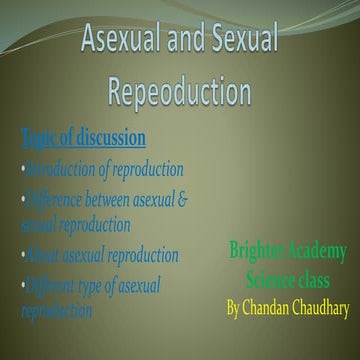 Asexual Reproduction In Living Organism Pptx