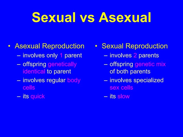 Asexual and Sexual Reproduction PowerPoint | PPT