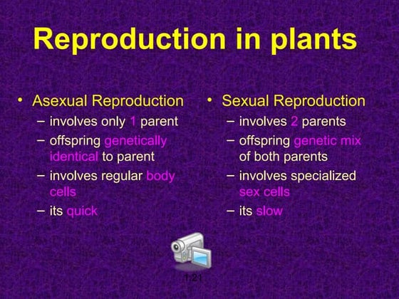 Asexual and Sexual Reproduction PowerPoint | PPT