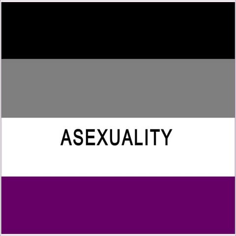 Different Types of Sexuality | PDF