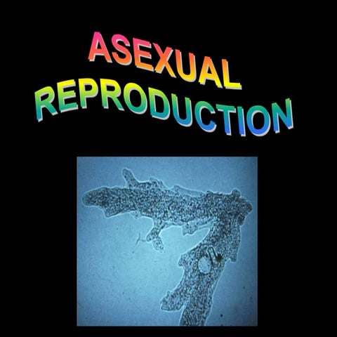 Asexual reproduction | PPT
