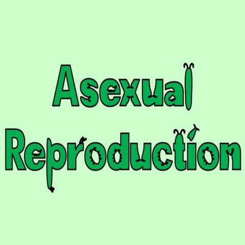 Asexual reproduction ppt | PPT