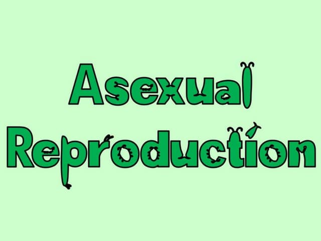 Asexual Reproduction Ppt Ppt