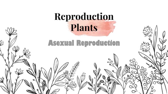 Sexual And Asexual Reproduction Pptx