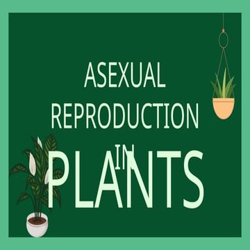 Asexual reproduction in Plants - Science Grade 4 | PPTX