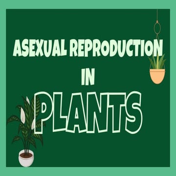 Asexual reproduction in Plants - Science Grade 4 | PDF