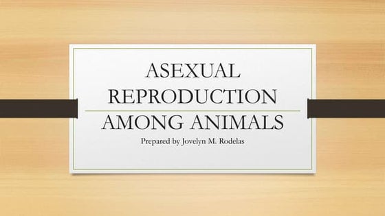 Printable-Sunday-School-Attendance-Sheet-2.pdf