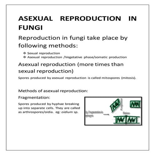Asexual reproduction in_fungi[1] | DOCX