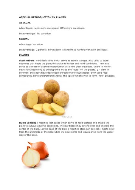 Powerpoint asexual reproduction in plants | PPTX