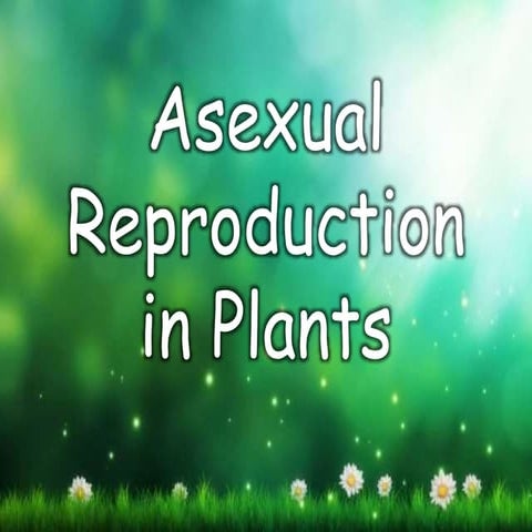 Asexual reproduction in plants | PDF