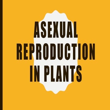 Asexual reproduction in plants | PPTX