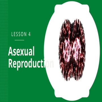 Asexual Reproduction PowerPoint Presentation | PPTX