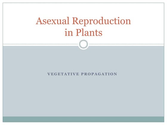 Asexual reproduction in plants | PPTX