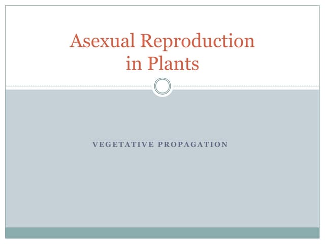 Asexual reproduction in plants | PPTX