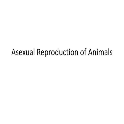 Asexual reproduction in animals | PPTX