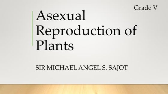 Asexual reproduction in plants | PPT