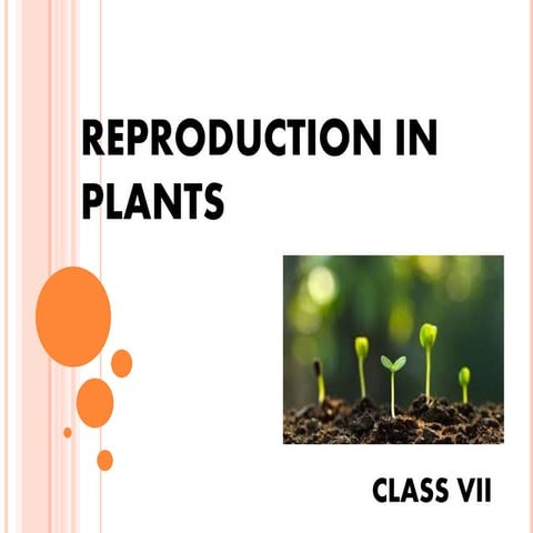 ASEXUAL REPRODUCTION PPT 1 for educational purposes | PPT