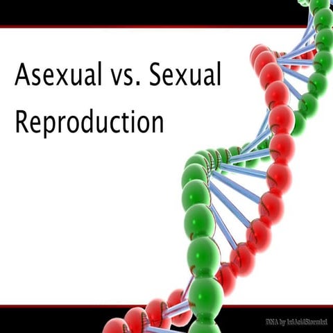Asexual Vs Sexual Reproduction | PPT