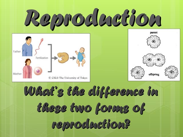 Asexual reproduction ppt | PPT