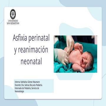 Asfixia_Neonatal.pptx_KGomez.pdf.crdownload.pptx