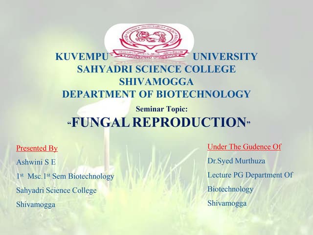 Sexual Reproduction In Fungi Pptx