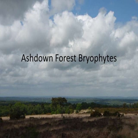 Ashdown Forest bryophytes | PPTX