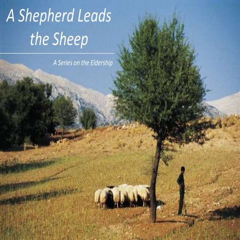 A Shepherd Leads the Sheep | PPT