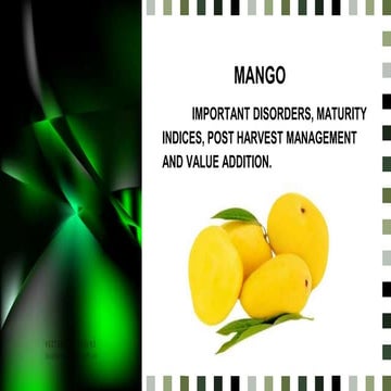 Mango.pptx